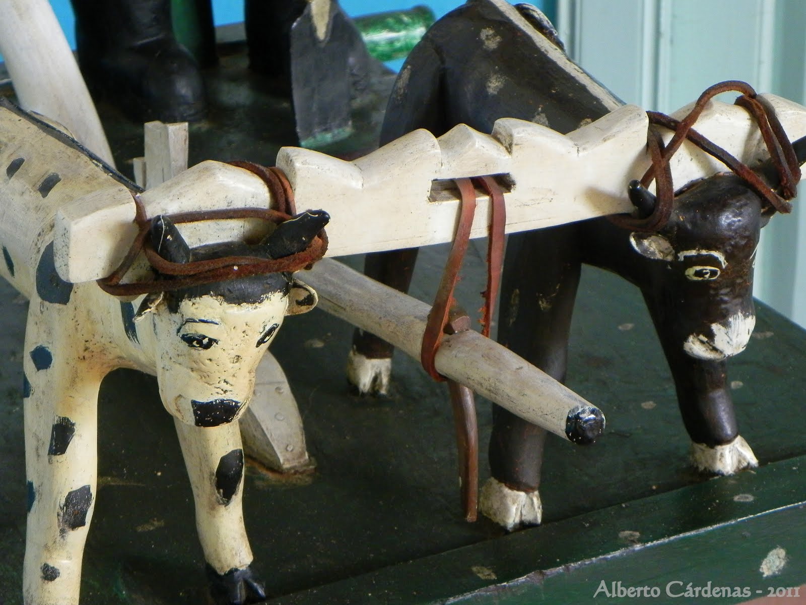 Una Vista a Boconó: Yunta de Bueyes