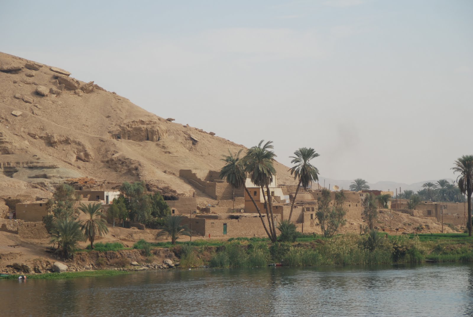 El diván del loko: noviembre 2010