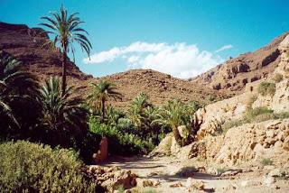 Eldering: Ooit van Elim gehoord?