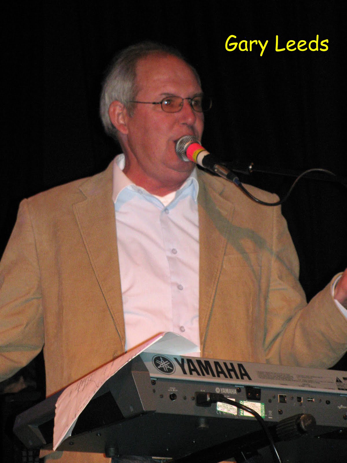 Minty And The Beeb Go Gigging: STANDELLS