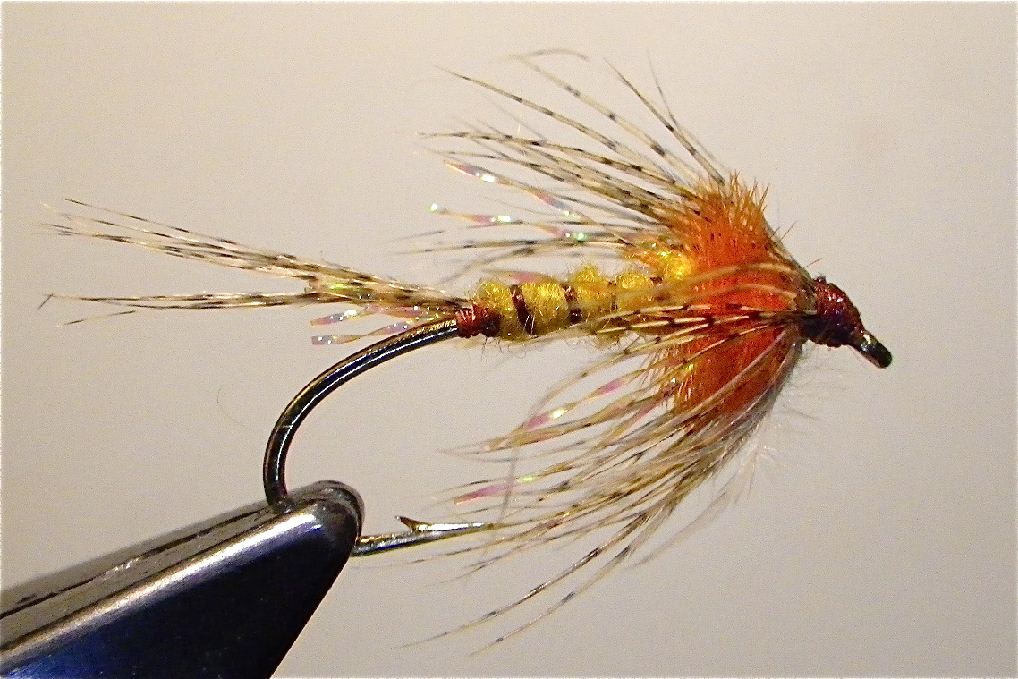 The Jersey Angler: Fall Wet Flies