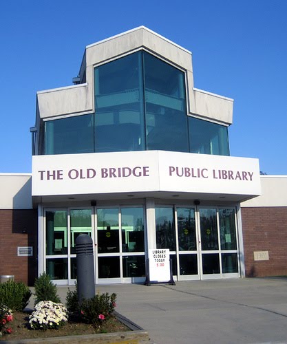 Old Bridge Library Blog: June 2010