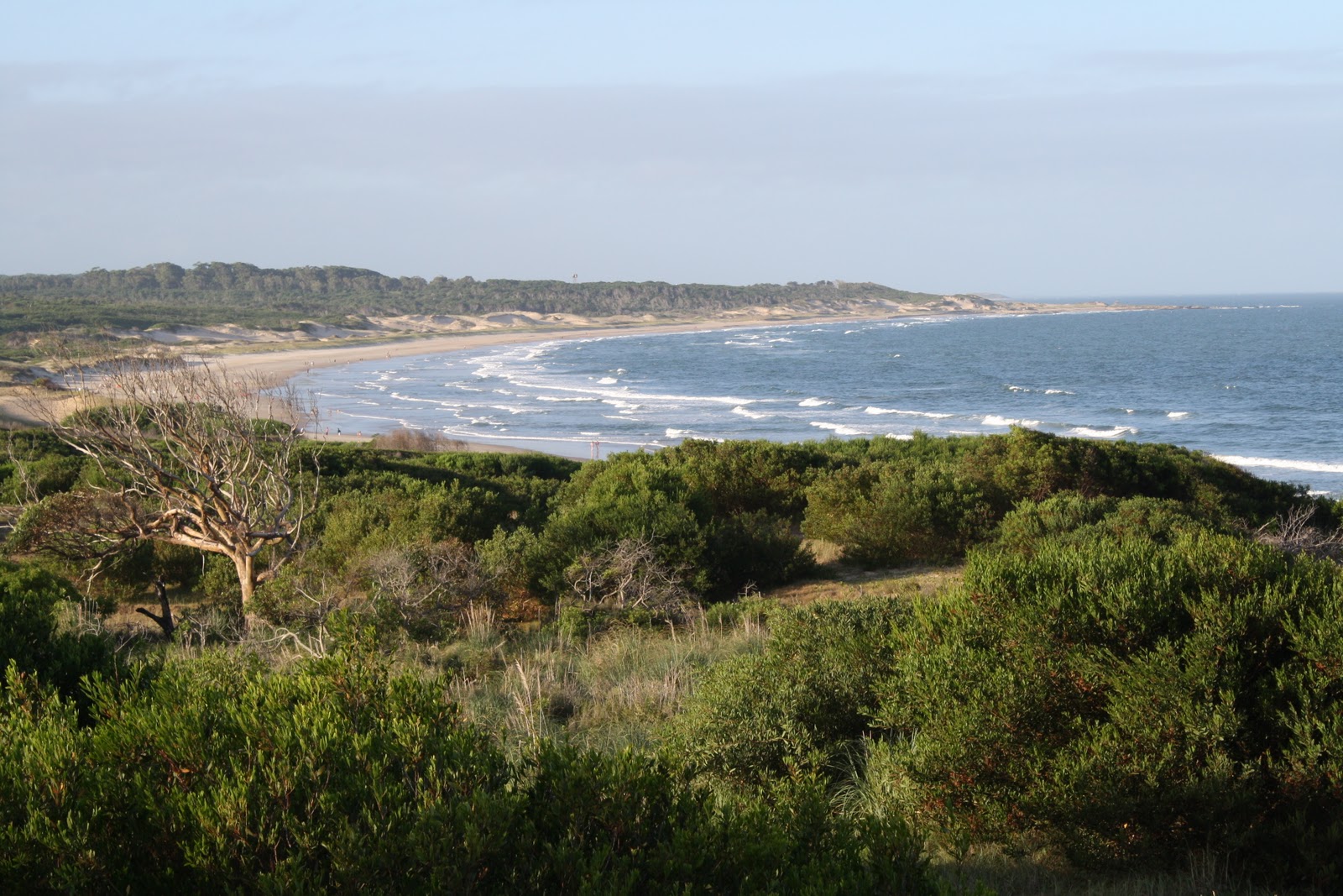 Punta del Diablo-Uruguay | SkyscraperCity Forum