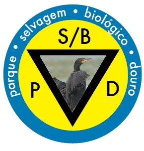 Park Douro Selvagem (PDS): Como podem viver as tartarugas no Douro