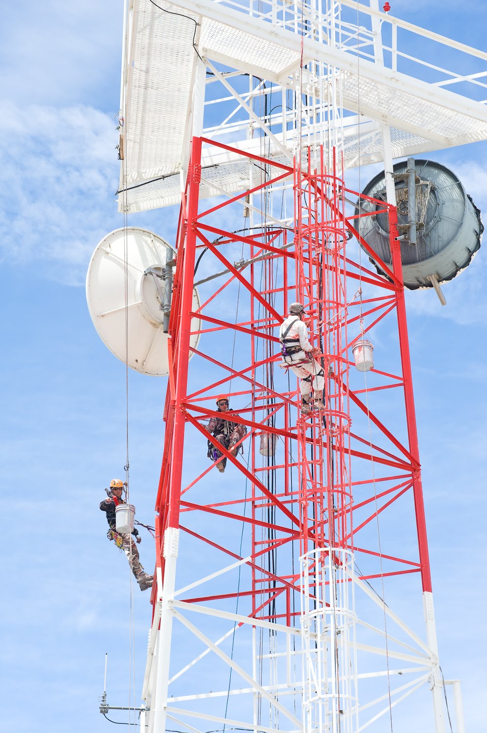 BASE Painters: Tower Painting California