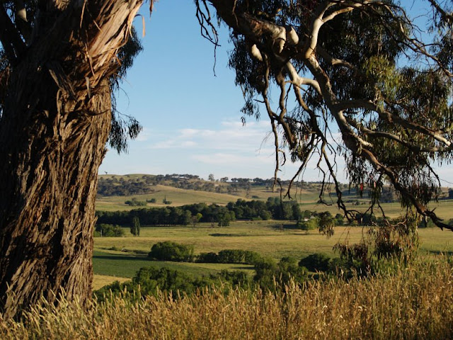 The love of field and coppice