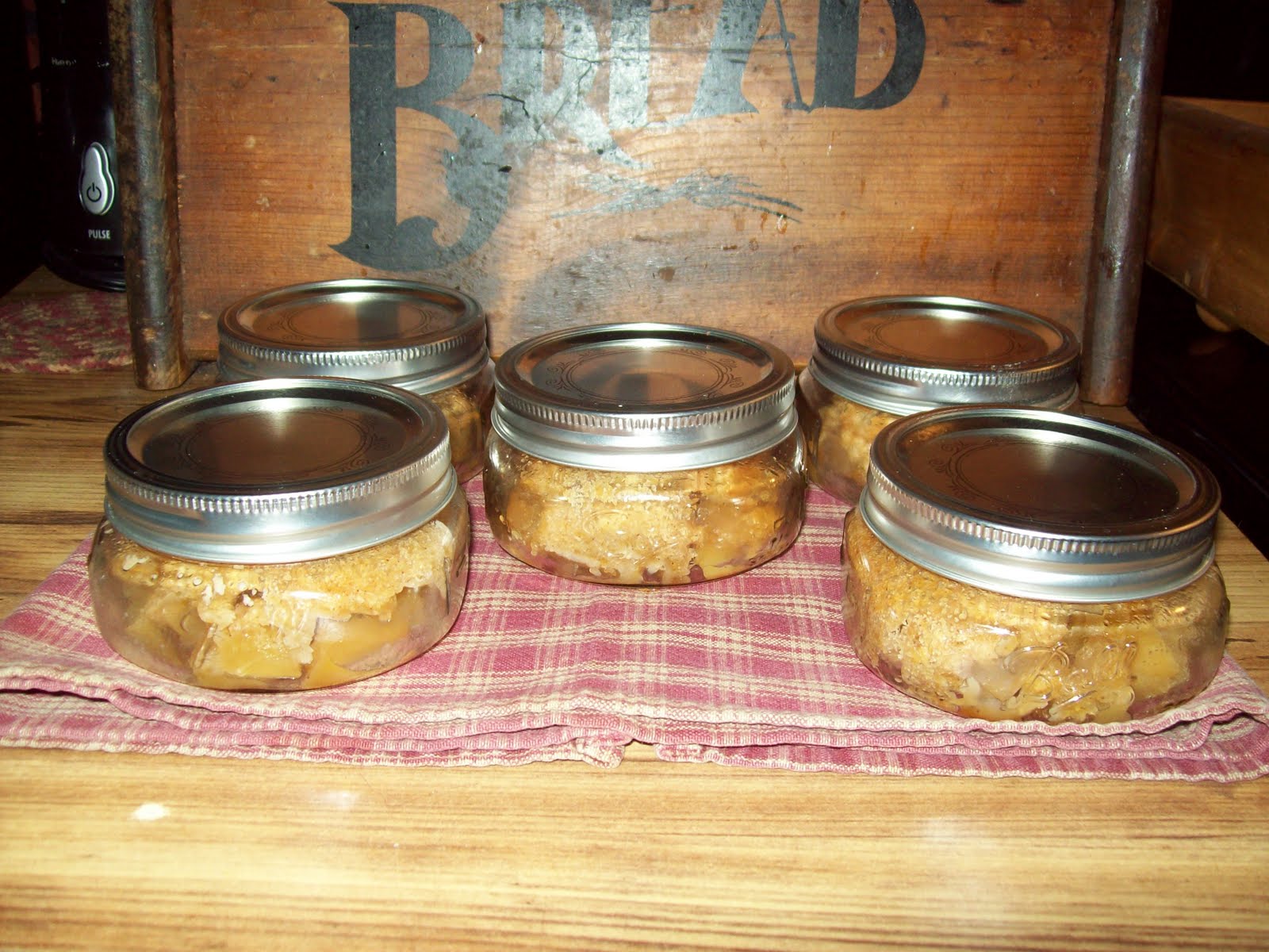 A Primitive Homestead: A New Visitor & Homestead Cooking