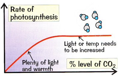 BIOLOGY ORDINARY LEVEL NOTES: PLANT NUTRITION PART 15: FACTORS ...
