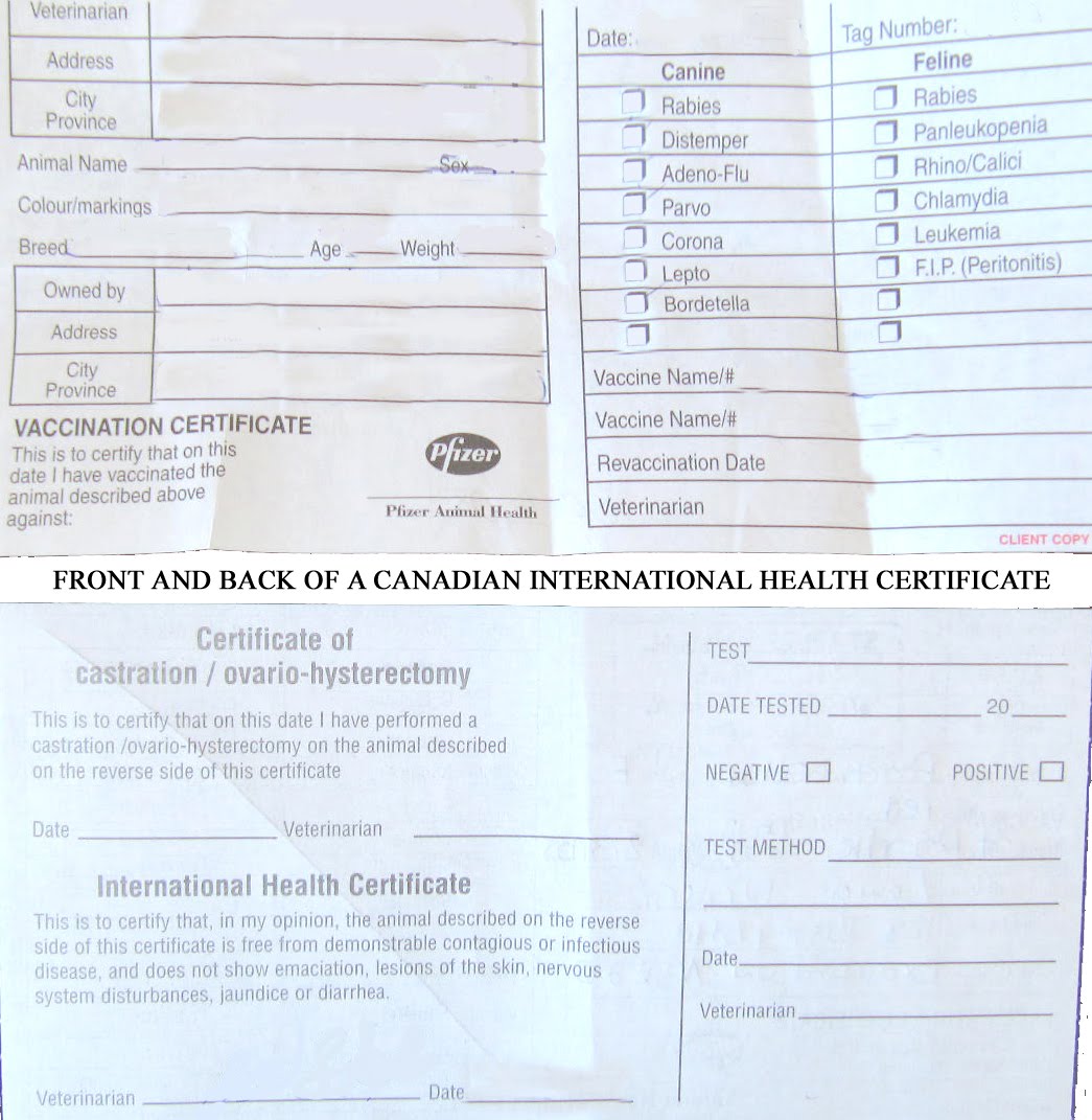 Certificate Of Good Health