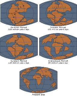 PANGEA: PANGEA