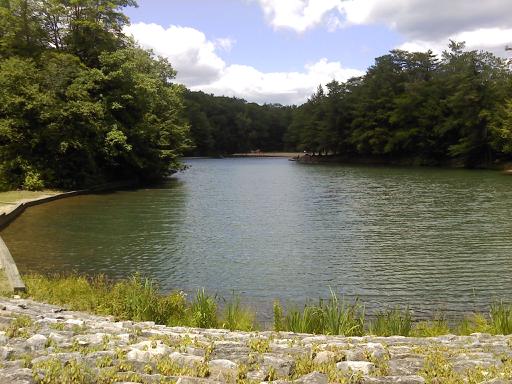 Three Daisies and a Dinosaur: Fun Day at Kooser State Park