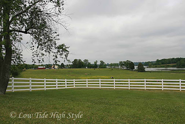 Low Tide High Style: Down On The Farm