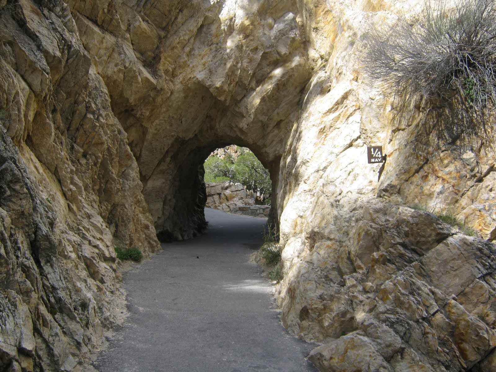 Raven's Corner: Timpanogos Cave