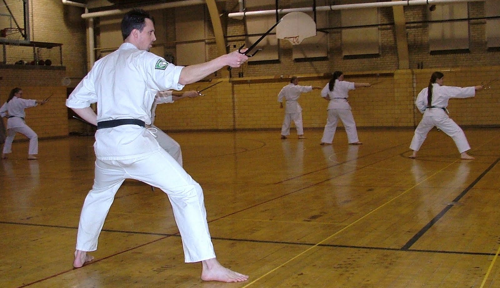 Sai-jutsu - Soke Hausel's Guide to Okinawa Kobudo