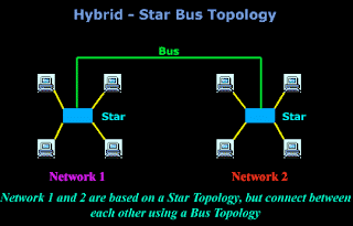 Assignment #2: The Physical Hybrid Topology