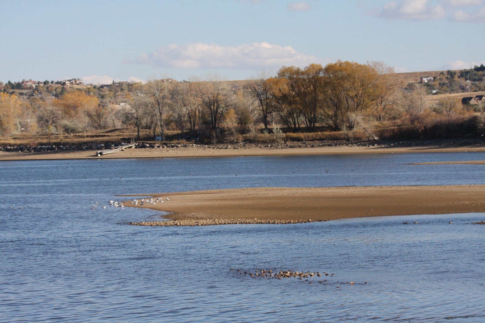 Birds and Such: Birding from behind Barbed Wire