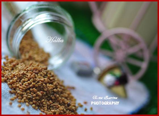 E-NA LOVELY KITCHEN ^_^: :-> Halba