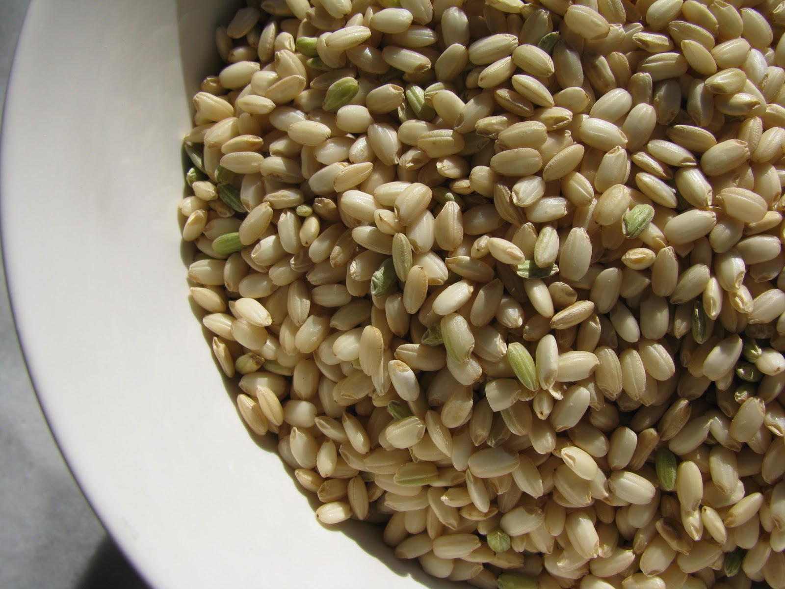 Savory Sweet Living: Fried Brown Sticky Rice Balls with Duck Sausage