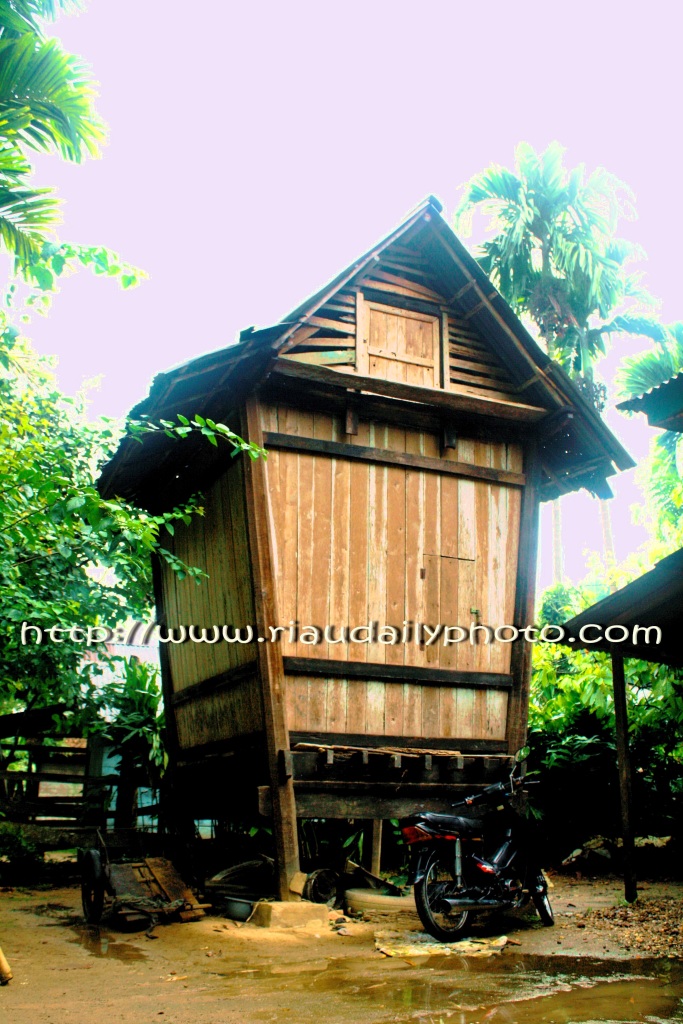 RANGKIANG | RIAU DAILY PHOTO