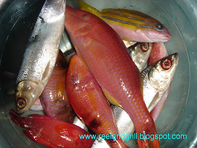 Reel and Grill: Fun Family Fishing at Bane, Pangasinan