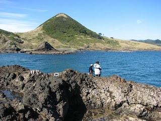 Gazebo Fishing: Cape Runaway Cricket trip 28.04-02.05.10