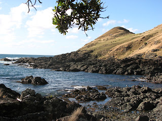 Gazebo Fishing: Cape Runaway Cricket trip 28.04-02.05.10