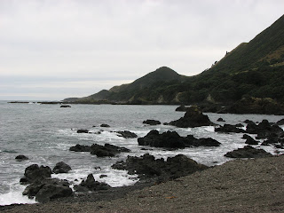 Gazebo Fishing: Cape Runaway Cricket trip 28.04-02.05.10