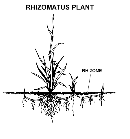 Lacuri, iazuri, bazine, hidroizolatii, constructii acvatice ...