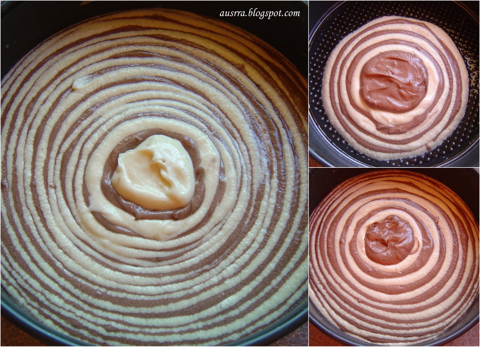 Tarp vėjo gūsių: ZEBRIUKAS DRYŽIUS