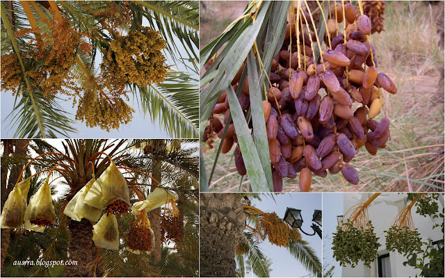 Tarp vėjo gūsių: SVETIMŲ KRAŠTŲ SKONIS