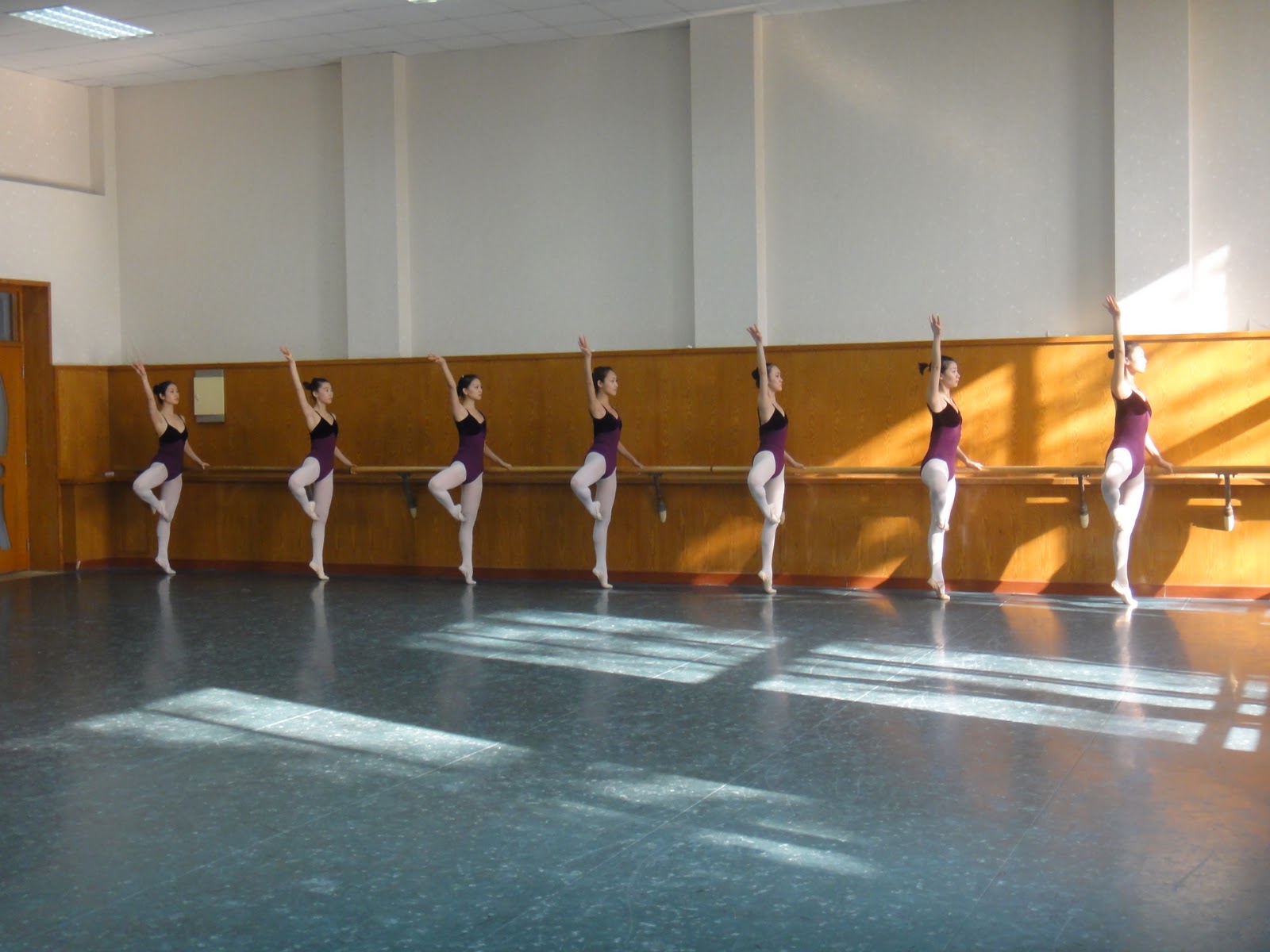 My Dream, My Life: Classical Chinese Dance Training