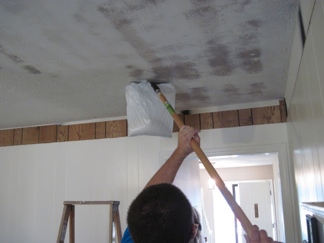 cottage instincts: The Score is Harveys:1, Cottage Cheese Ceiling:0