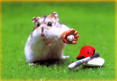President: Hamster playing Baseball