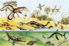 DIVERTICIENCIA: EL MESOZOICO