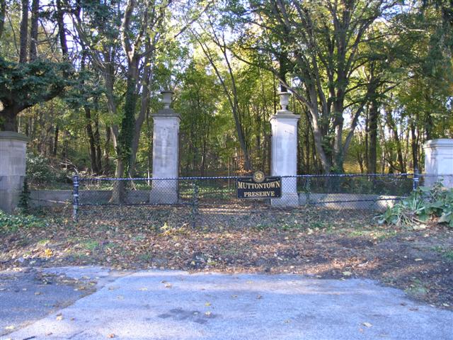 Clyde's Guides and Other Stuff: Knollwood Estate, Muttontown, Long ...