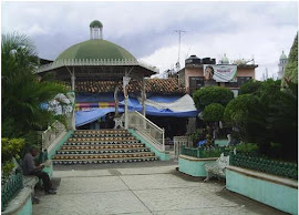 Nos Guía la Tecnologia, Nos Impulsa el ser Humano: LA IGUANA DESAPARECE ...