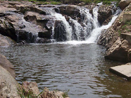 Nos Guía la Tecnologia, Nos Impulsa el ser Humano: LA IGUANA DESAPARECE ...