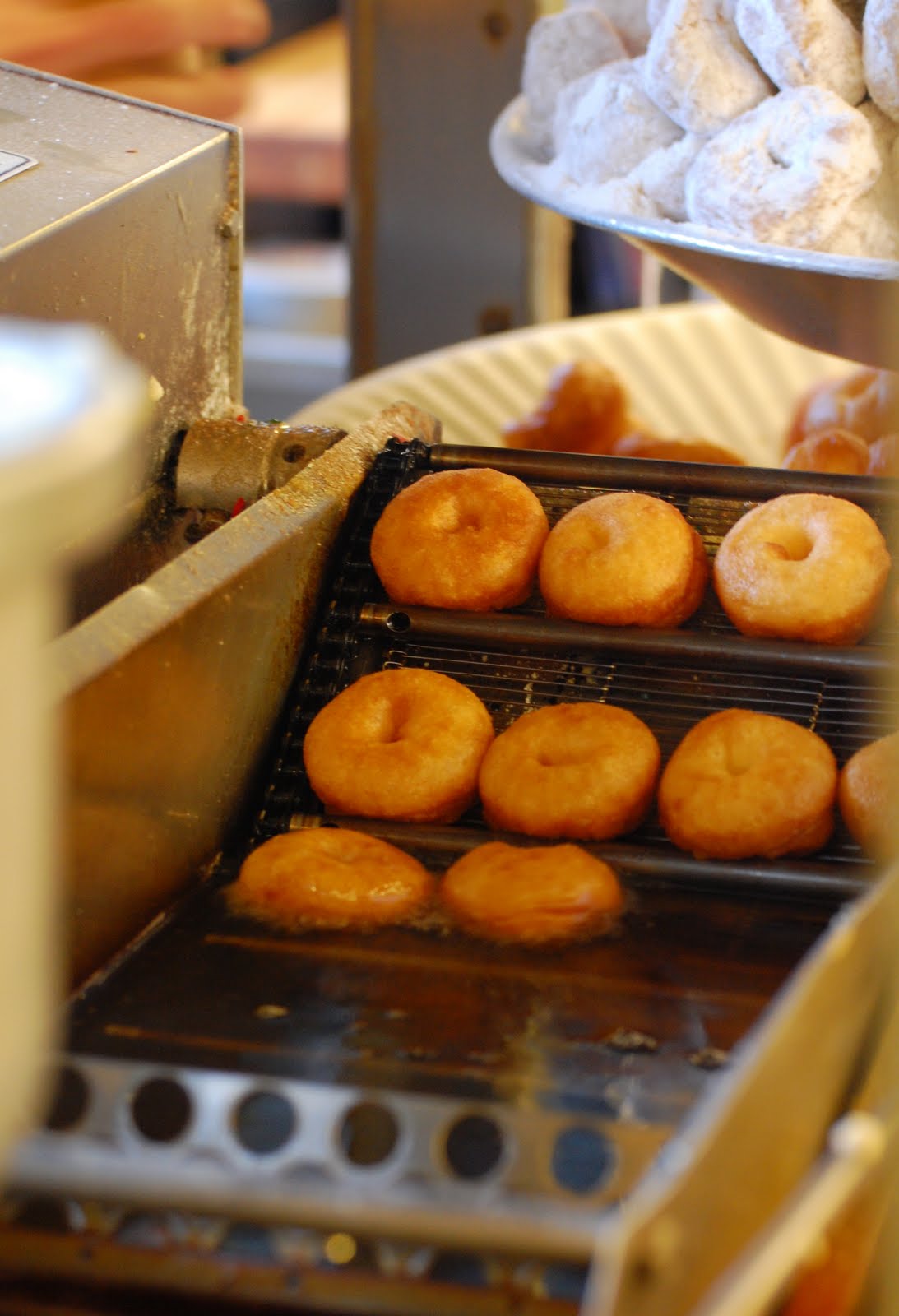 Monkey Puzzle Blog: Daily Dozen Donut Company