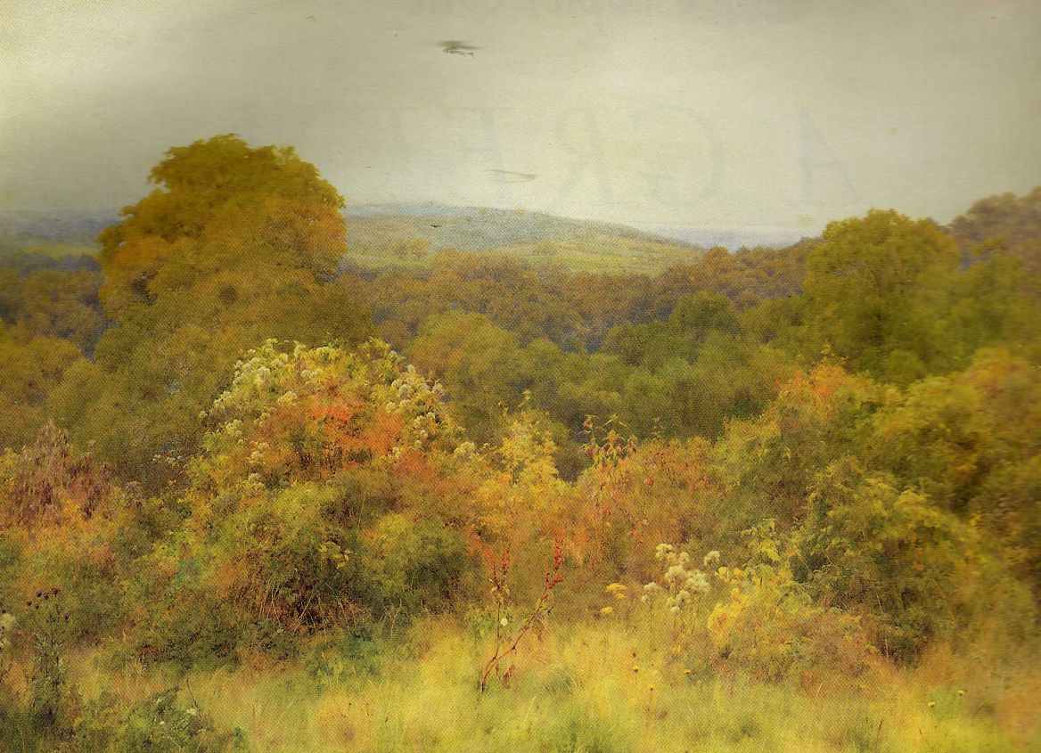 British Art: George Marks Nature's Garden