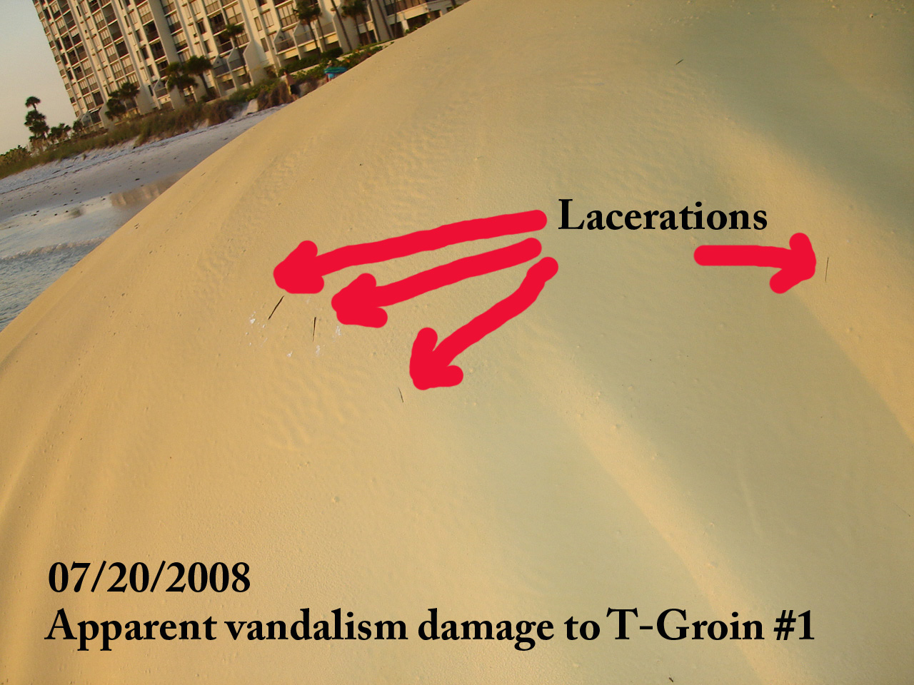 Save Our Sand: Vandalism Damage to Upham Beach Geotextile T-Groins ...