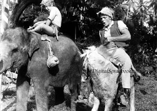 Riding a bison: Bison riding...?