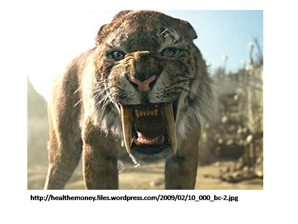 Balfour's Big6 Blog: Saber-Tooth Tiger