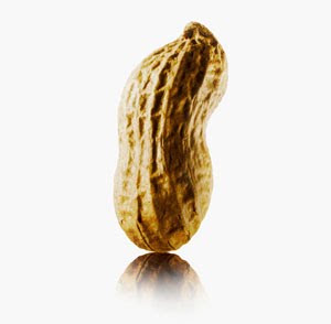 the NUT LIFE