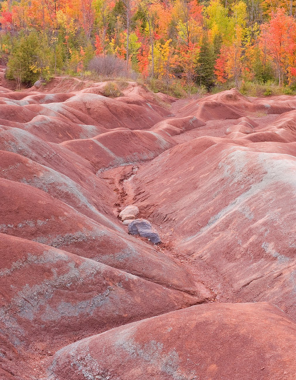 david leadbitter photography: Fall at the Cheltenham Badlands
