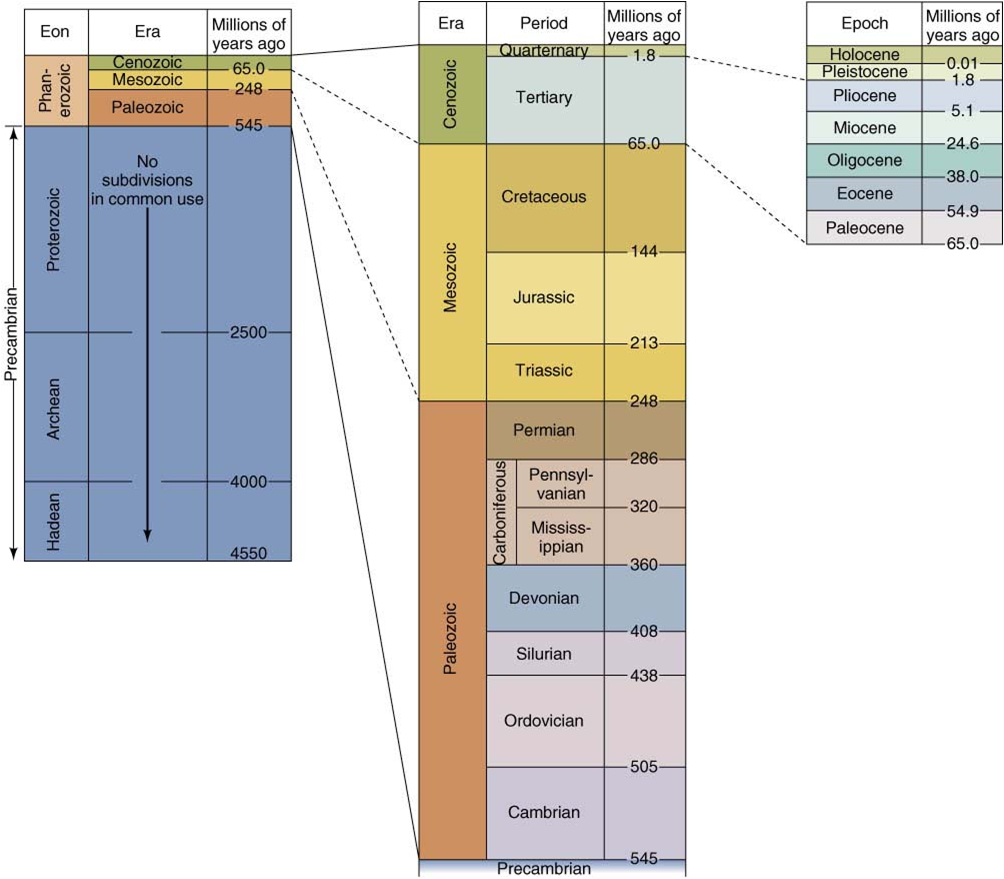 geografi lingkungan: KOLOM WAKTU GEOLOGI