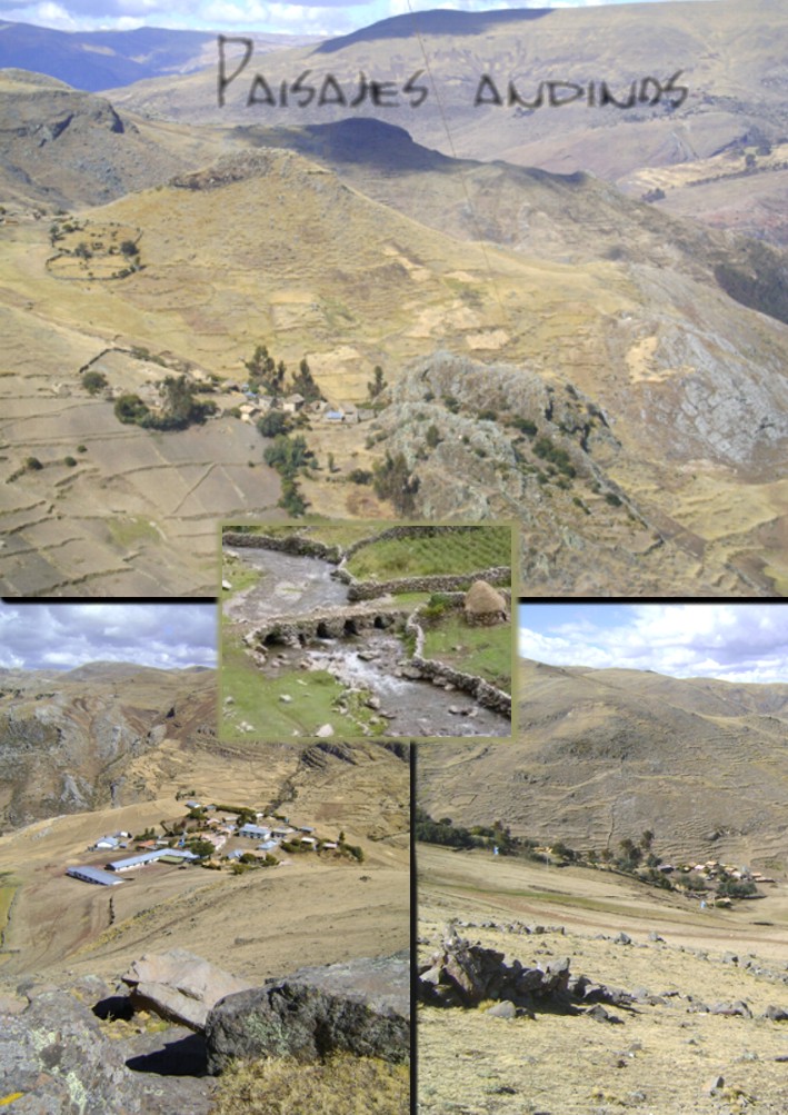 palca peru: palca peru