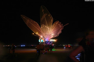 All About Butterfly: butterfly wings