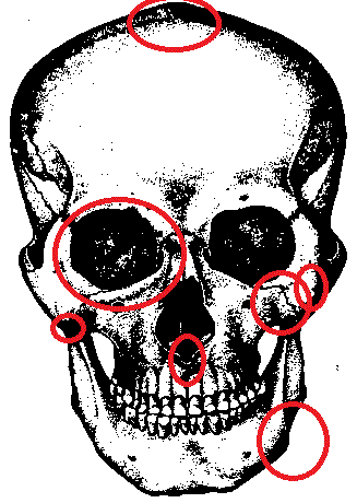 My Mind: I'll help you to tell your family who you are