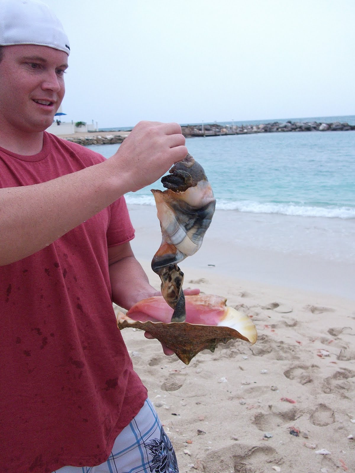 The Lives of the Jacksons: St. Maarten: Pinel Island & Cleaning Of The ...