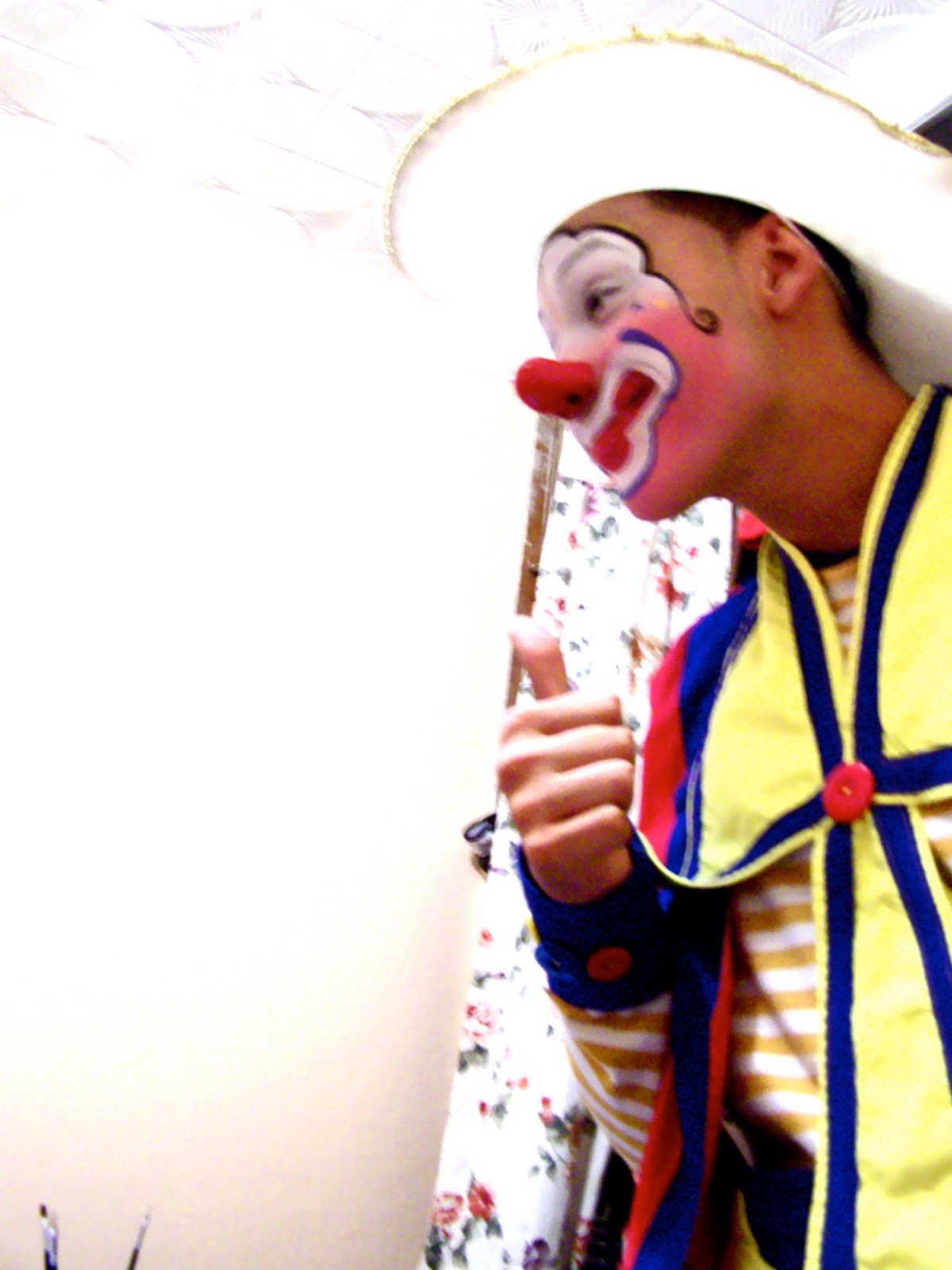 LA CASA DEL PAYASO: ¿Sabías que hay diferentes tipos de payasos?